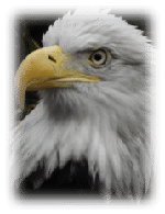 LightSong Doctor of Shamanism ShD (Eagle) • LightSong School of 21st ...